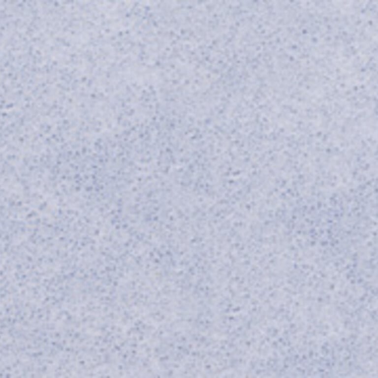 weber.dry Marbelite Colours